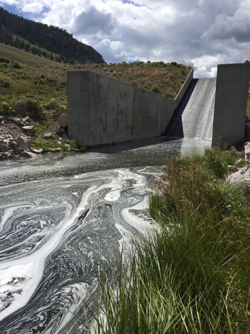 Day 2: The Hidden Stretches Of Archuleta Creek Near Gunnison, CO – Off ...
