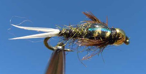 Day 2 Of Three Grand Days On The Rio Grande–The Box Canyon – Off-The ...