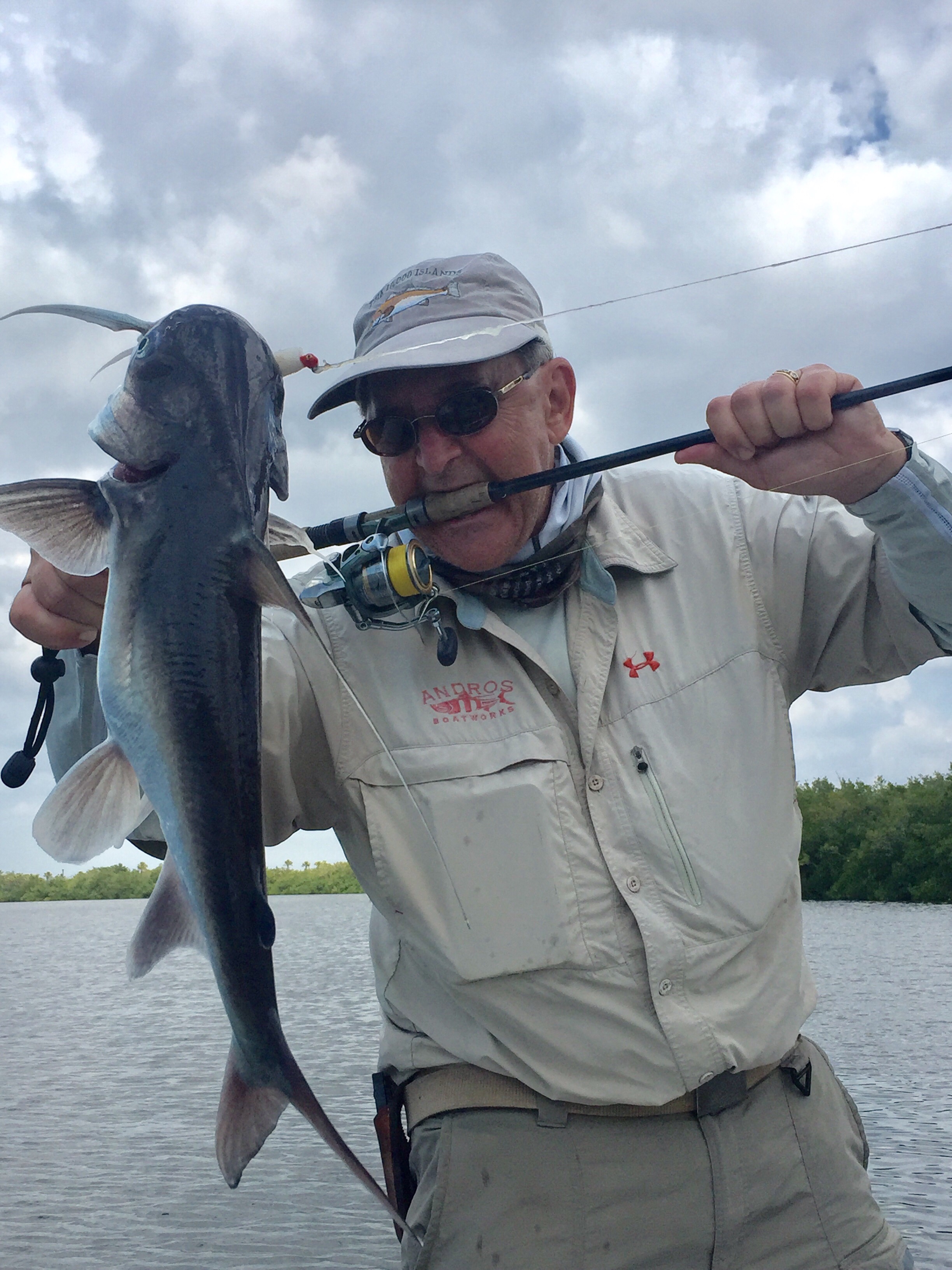 This Cat Gets No Respect: Saltwater Angling For Gafftopsail Catfish ...