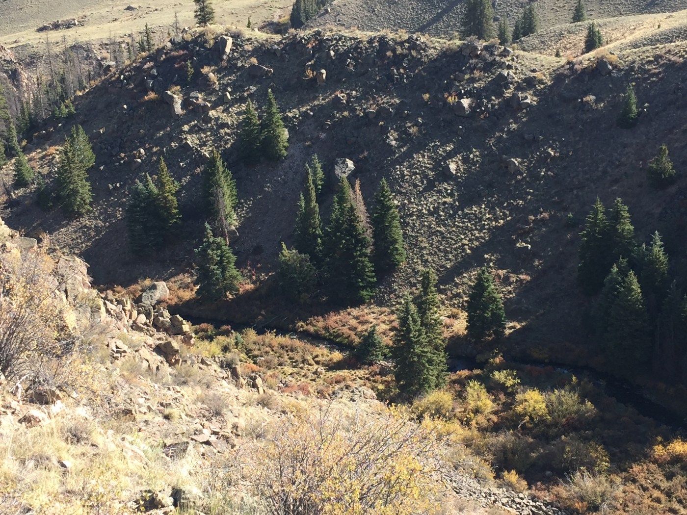 Slightly Addled Senior Goes Slip Sliddin’ Away Down Steep Slope For ...
