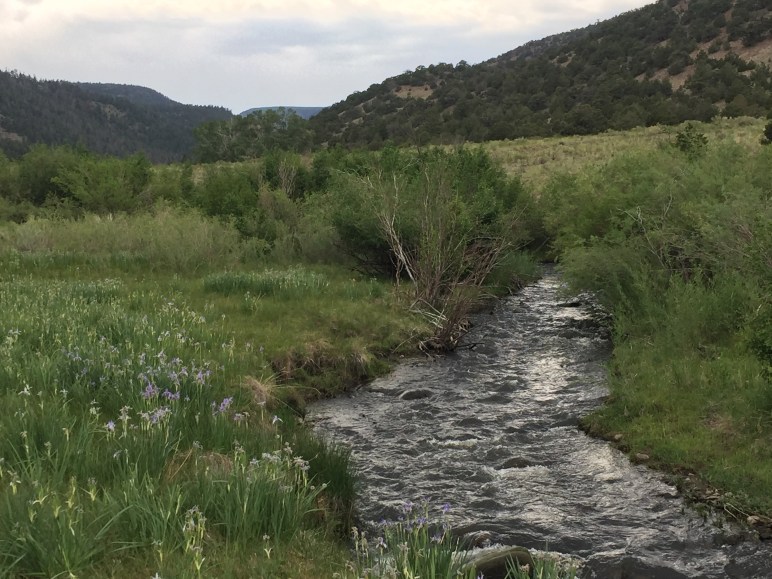 How To Find Stream Water Levels In Colorado: A Primer – Off-The-Beaten ...