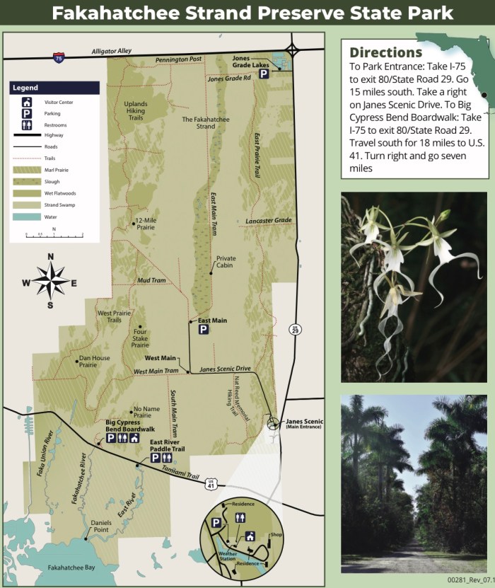 Hiking The Fab Four Trails Of The Fakahatchee Strand Preserve State ...