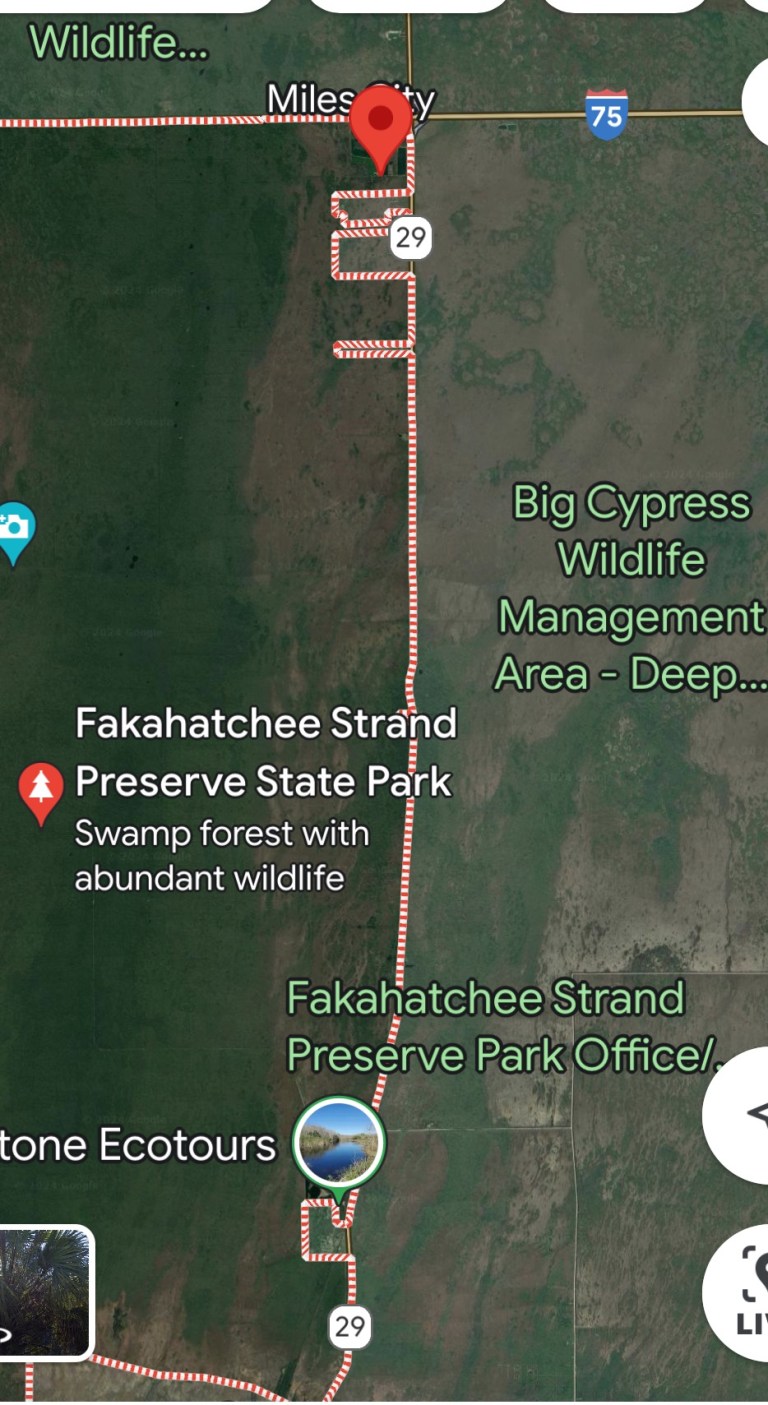 Hiking In The Fakahatchee Strand Preserve? Don’t Overlook The Jones ...